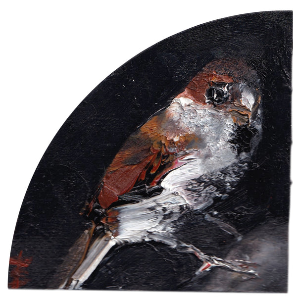 Sparrow Study 1 by Garth Steeper – Seed Gallery