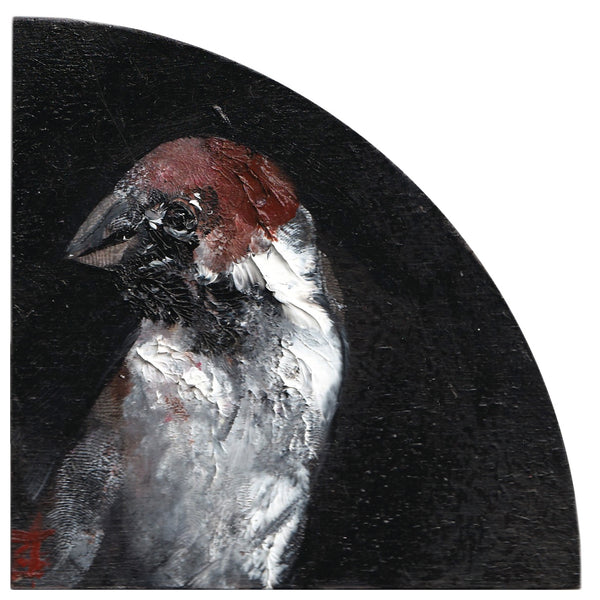Sparrow Study 3 by Garth Steeper – Seed Gallery