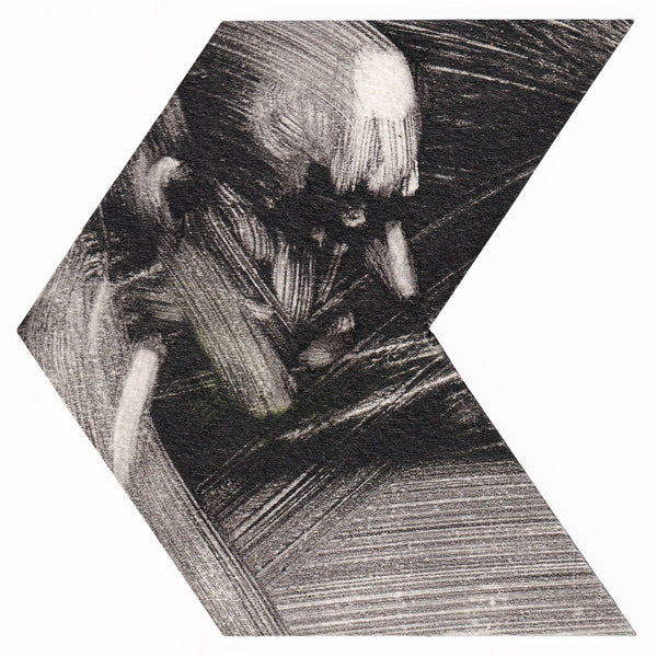 Adrift 4 by Belinda Griffiths – Seed Gallery